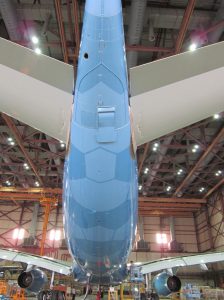 Advanced Aircraft Paint Protection With 5 Year Coverage